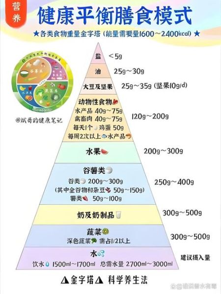 营养餐搭配_如何科学配餐-第3张图片-山城妙识