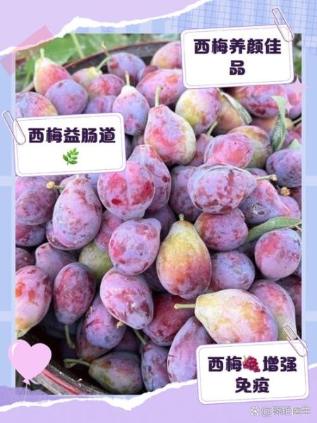 西梅热量高吗_减肥能吃西梅吗-第1张图片-山城妙识 西梅热量高吗_减肥能吃西梅吗-第1张图片-山城妙识