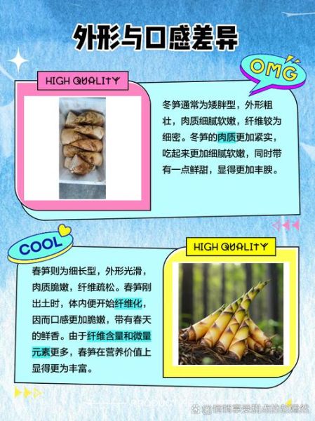 笋的种类有哪些_如何区分春笋冬笋-第1张图片-山城妙识