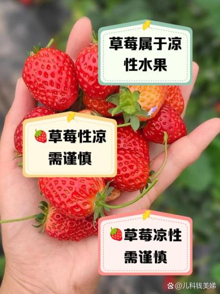 草莓图片水果_草莓是热性还是凉性-第3张图片-山城妙识