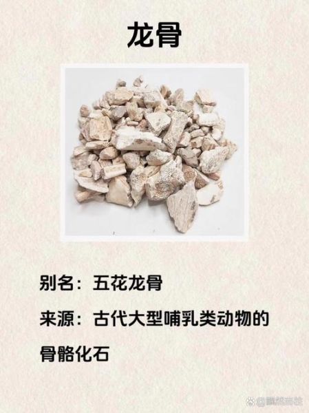 龙骨的功效与作用_龙骨怎么食用-第1张图片-山城妙识 龙骨的功效与作用_龙骨怎么食用-第1张图片-山城妙识