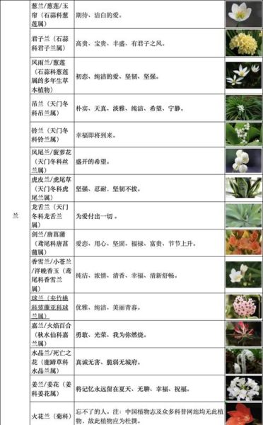 1000种花名大全_哪些花最适合新手-第2张图片-山城妙识