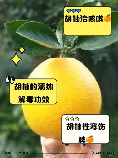 长期吃柚子的功效与作用_长期吃柚子会上火吗-第3张图片-山城妙识