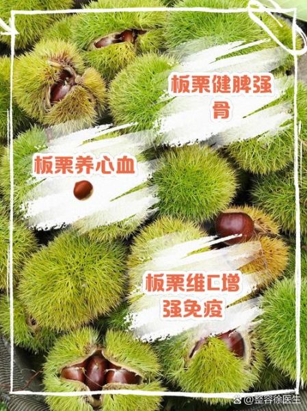 板栗的功效与作用禁忌_板栗不能和什么一起吃-第3张图片-山城妙识