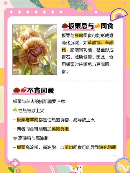 板栗的功效与作用禁忌_板栗不能和什么一起吃-第2张图片-山城妙识