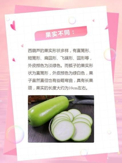 瓠怎么读拼音_瓠瓜和葫芦区别-第1张图片-山城妙识