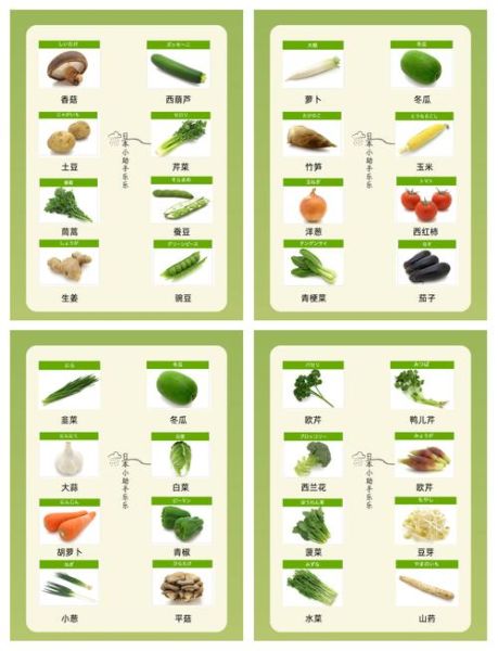 蔬菜名字大全_蔬菜种类有哪些-第1张图片-山城妙识