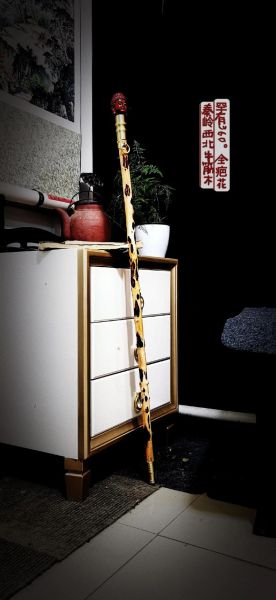 牛筋木是什么木材_牛筋木价格多少钱一方-第1张图片-山城妙识 牛筋木是什么木材_牛筋木价格多少钱一方-第1张图片-山城妙识