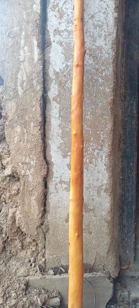 牛筋木是什么木材_牛筋木价格多少钱一方-第2张图片-山城妙识 牛筋木是什么木材_牛筋木价格多少钱一方-第2张图片-山城妙识