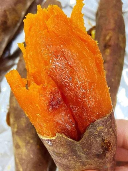 红薯烤箱温度和时间_烤红薯要不要包锡纸-第3张图片-山城妙识 红薯烤箱温度和时间_烤红薯要不要包锡纸-第3张图片-山城妙识