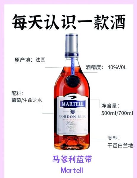 法国葡萄酒品牌有哪些_如何挑选法国葡萄酒-第2张图片-山城妙识