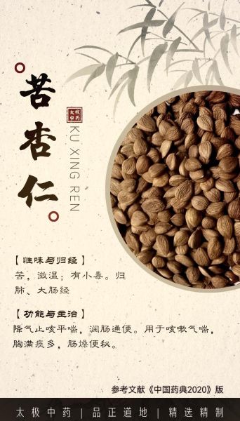 苦杏仁和甜杏仁的区别_如何通过图片快速辨认-第2张图片-山城妙识 苦杏仁和甜杏仁的区别_如何通过图片快速辨认-第2张图片-山城妙识