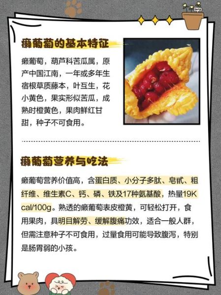 赖葡萄和苦瓜的区别_哪个更苦-第1张图片-山城妙识