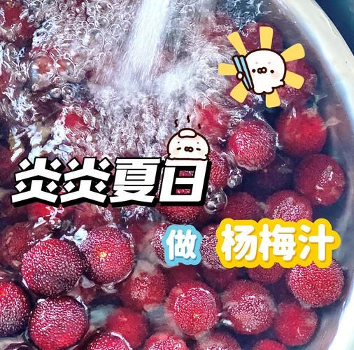 杨梅怎么榨汁_杨梅榨汁要不要去核-第1张图片-山城妙识 杨梅怎么榨汁_杨梅榨汁要不要去核-第1张图片-山城妙识