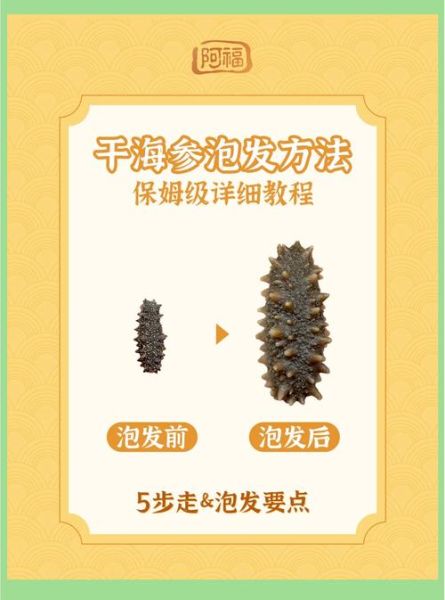 怎样发干海参最好_干海参泡发多久合适-第2张图片-山城妙识