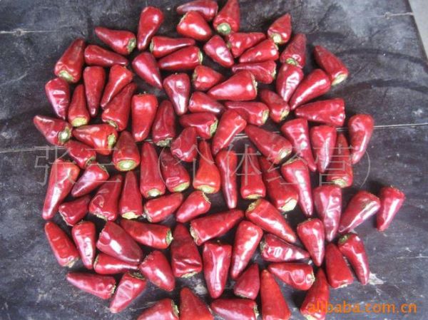 子弹头辣椒辣不辣_子弹头辣椒怎么种-第2张图片-山城妙识