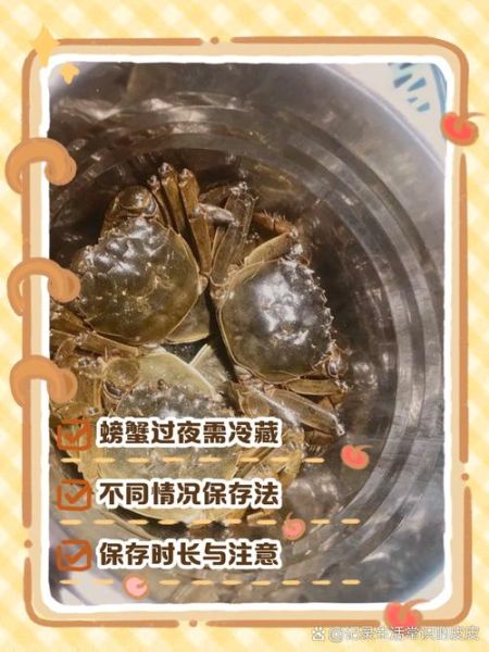 螃蟹怎么养过夜不会死_活蟹保存技巧-第1张图片-山城妙识