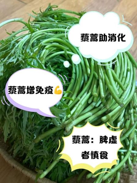 藜蒿是发物吗_什么人不能吃藜蒿-第1张图片-山城妙识