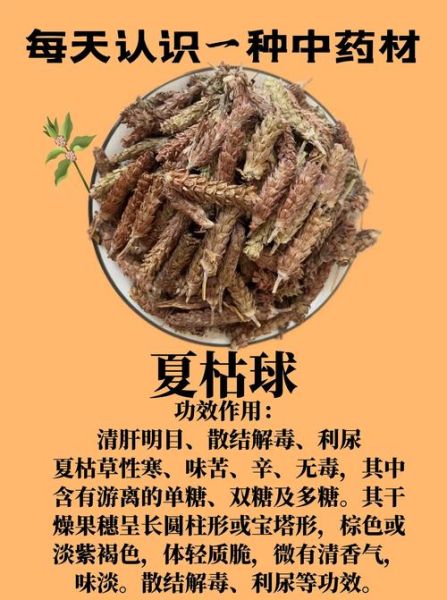 夏枯草能治乳腺结节吗_夏枯草的功效与作用-第3张图片-山城妙识