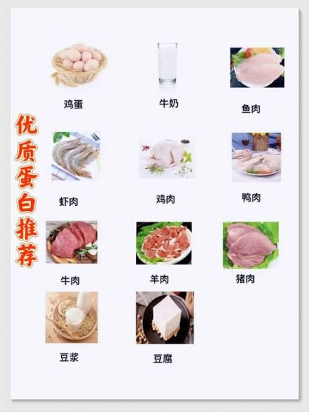 优质蛋白质食物有哪些_如何科学补充蛋白质-第1张图片-山城妙识