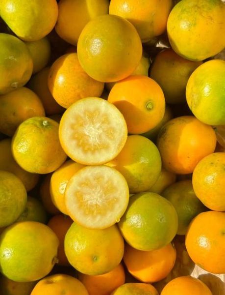 金桔上火吗_吃金桔会不会上火-第1张图片-山城妙识