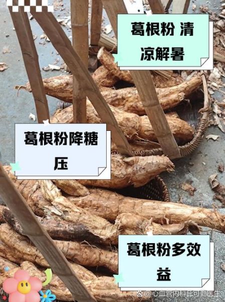 葛根粉能降血糖吗_葛根粉怎么吃最健康-第3张图片-山城妙识 葛根粉能降血糖吗_葛根粉怎么吃最健康-第3张图片-山城妙识