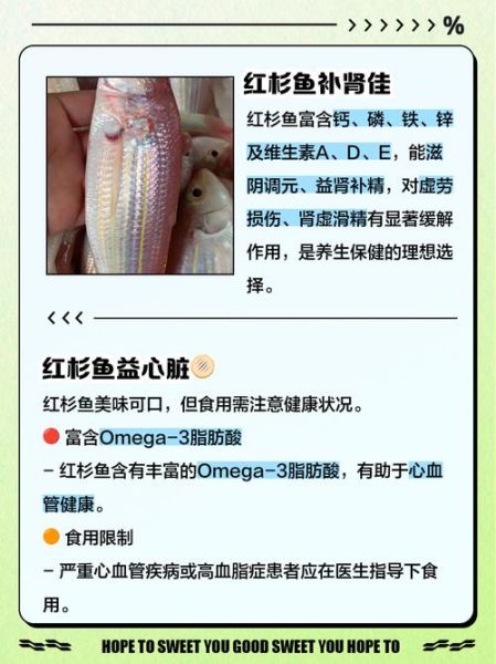 红杉鱼的营养价值_红杉鱼的功效与作用-第1张图片-山城妙识 红杉鱼的营养价值_红杉鱼的功效与作用-第1张图片-山城妙识