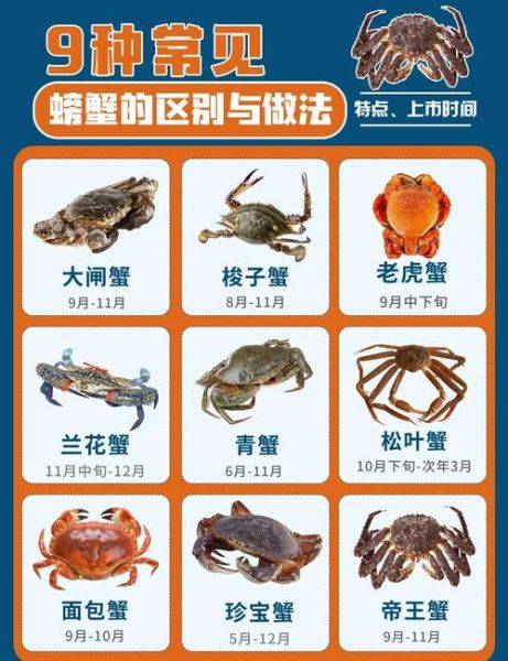 螃蟹种类及名称_如何区分常见蟹类-第2张图片-山城妙识