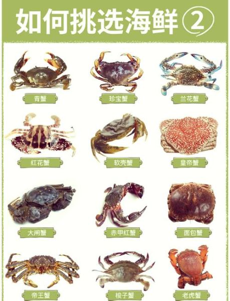 螃蟹种类及名称_如何区分常见蟹类-第1张图片-山城妙识