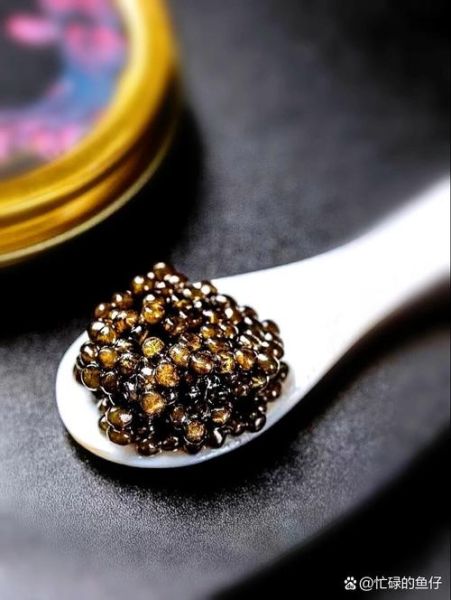 鱼子酱怎么做_鱼子酱怎么保存-第3张图片-山城妙识