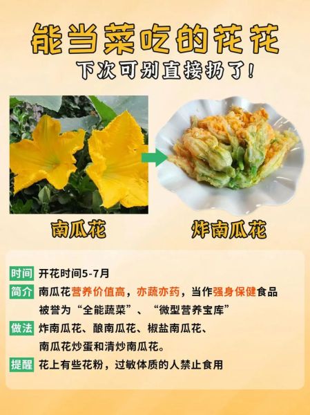 南瓜花可以吃吗_南瓜花怎么吃最好-第1张图片-山城妙识