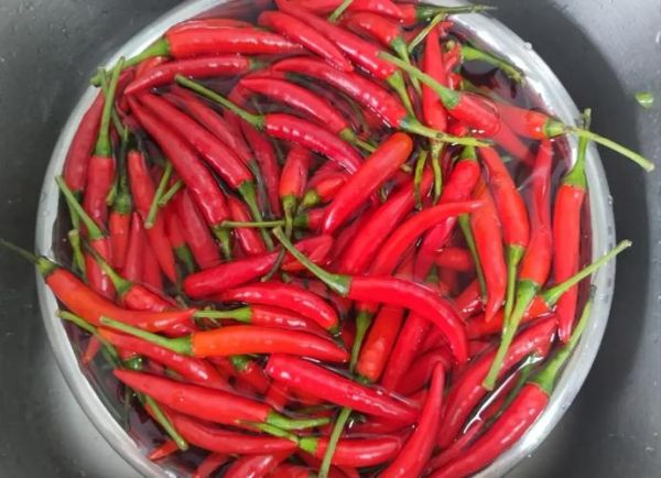 自制剁椒用什么辣椒比例_剁椒盐量多少合适-第2张图片-山城妙识 自制剁椒用什么辣椒比例_剁椒盐量多少合适-第2张图片-山城妙识
