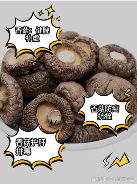 香菇的功效与作用_香菇吃多了有什么害处-第1张图片-山城妙识 香菇的功效与作用_香菇吃多了有什么害处-第1张图片-山城妙识