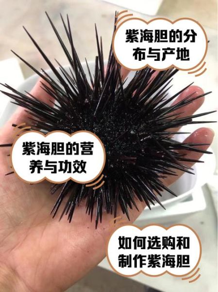 海胆30一个贵吗_海胆多少钱一个正常-第1张图片-山城妙识