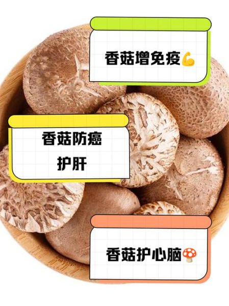 香菇的功效与作用_香菇吃多了有什么害处-第2张图片-山城妙识 香菇的功效与作用_香菇吃多了有什么害处-第2张图片-山城妙识