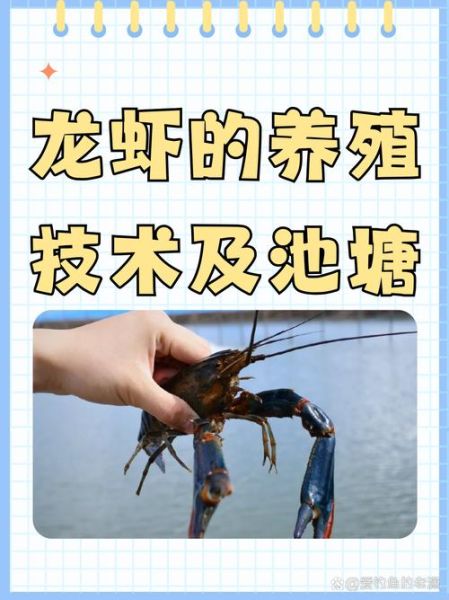 室内小龙虾养殖技术大全_新手如何开始-第2张图片-山城妙识 室内小龙虾养殖技术大全_新手如何开始-第2张图片-山城妙识