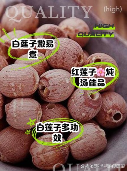 红莲子和白莲子哪个好_红莲子和白莲子功效区别-第3张图片-山城妙识 红莲子和白莲子哪个好_红莲子和白莲子功效区别-第3张图片-山城妙识