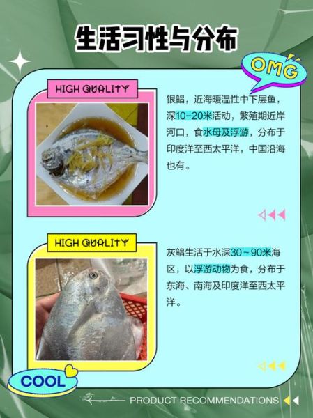 平鱼和鲳鱼的区别_怎么区分平鱼和鲳鱼-第1张图片-山城妙识 平鱼和鲳鱼的区别_怎么区分平鱼和鲳鱼-第1张图片-山城妙识