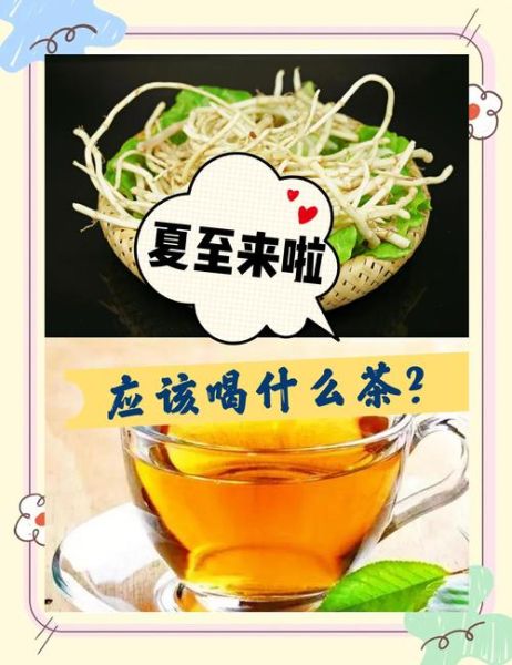 鱼腥草怎么泡水喝_鱼腥草的正确使用方法-第2张图片-山城妙识 鱼腥草怎么泡水喝_鱼腥草的正确使用方法-第2张图片-山城妙识