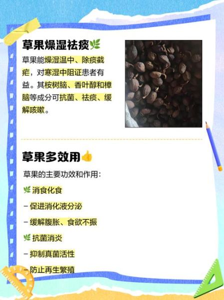 草果的功效与作用禁忌_孕妇能吃吗-第1张图片-山城妙识