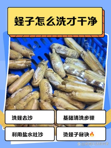 蛏子怎么洗_蛏子清洗方法-第1张图片-山城妙识