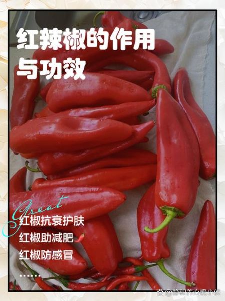 干辣椒的功效与作用_干辣椒怎么吃不上火-第1张图片-山城妙识