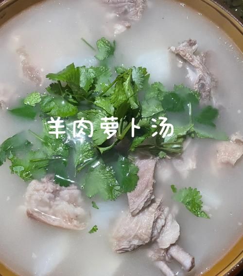 清炖羊肉炖萝卜怎么做_清炖羊肉炖萝卜最正宗的做法-第2张图片-山城妙识