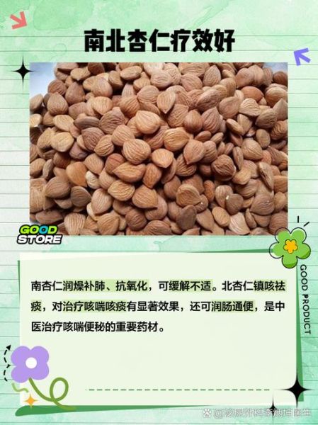 南杏仁长什么样_如何辨别真假南杏仁-第1张图片-山城妙识 南杏仁长什么样_如何辨别真假南杏仁-第1张图片-山城妙识
