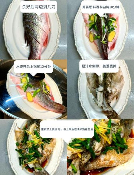 鱼怎么做好吃又营养_清蒸鲈鱼的做法窍门-第1张图片-山城妙识