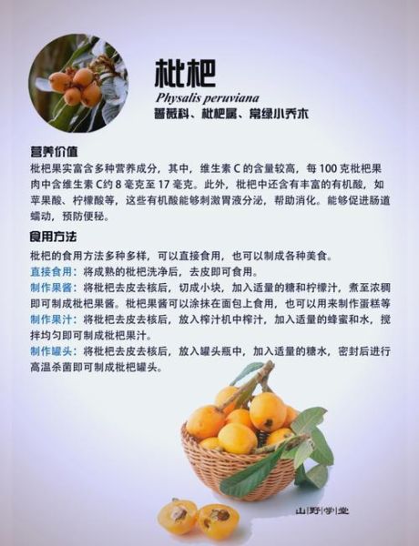 湖南土枇杷的功效与作用_湖南土枇杷怎么吃效果最好-第1张图片-山城妙识 湖南土枇杷的功效与作用_湖南土枇杷怎么吃效果最好-第1张图片-山城妙识