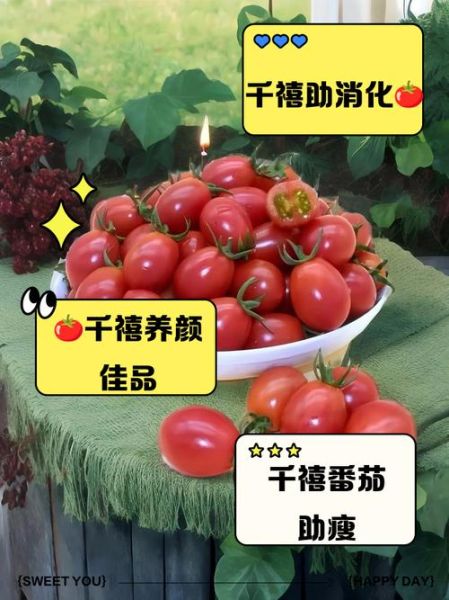 千禧小番茄的功效与作用_千禧小番茄能减肥吗-第1张图片-山城妙识 千禧小番茄的功效与作用_千禧小番茄能减肥吗-第1张图片-山城妙识