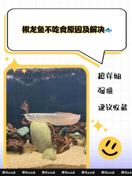 银龙鱼怎么做好吃_银龙鱼清蒸还是红烧-第1张图片-山城妙识