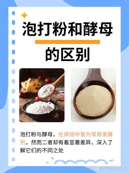 酵母粉是小苏打吗_两者区别与用法-第1张图片-山城妙识
