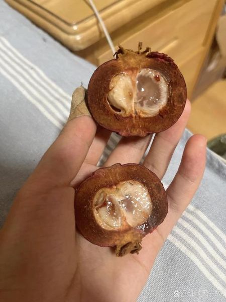 山竹皮为什么会变硬_山竹皮变硬还能吃吗-第3张图片-山城妙识